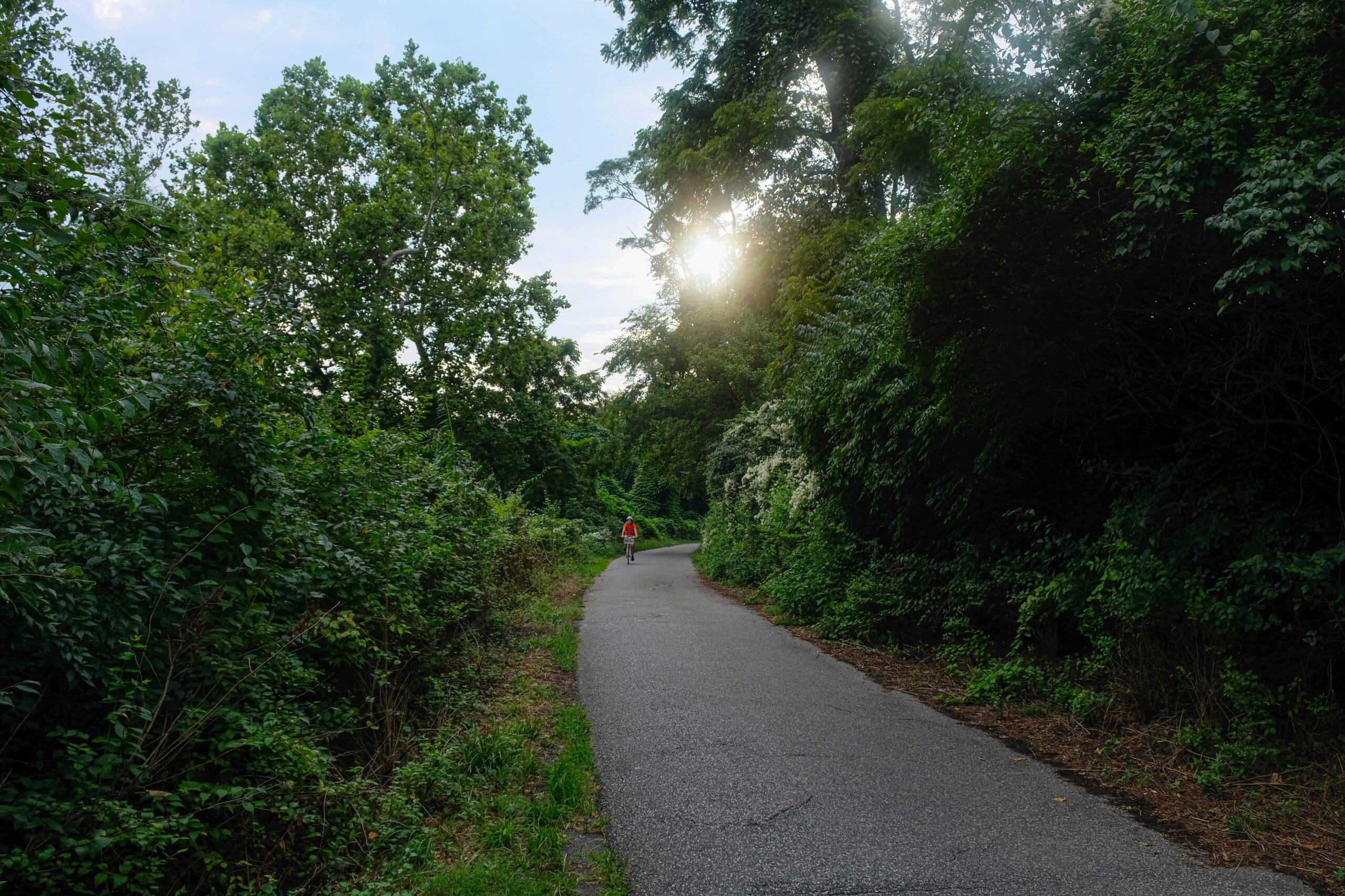 Best Bike Trails Around DC | Washington Real Estate Agents
